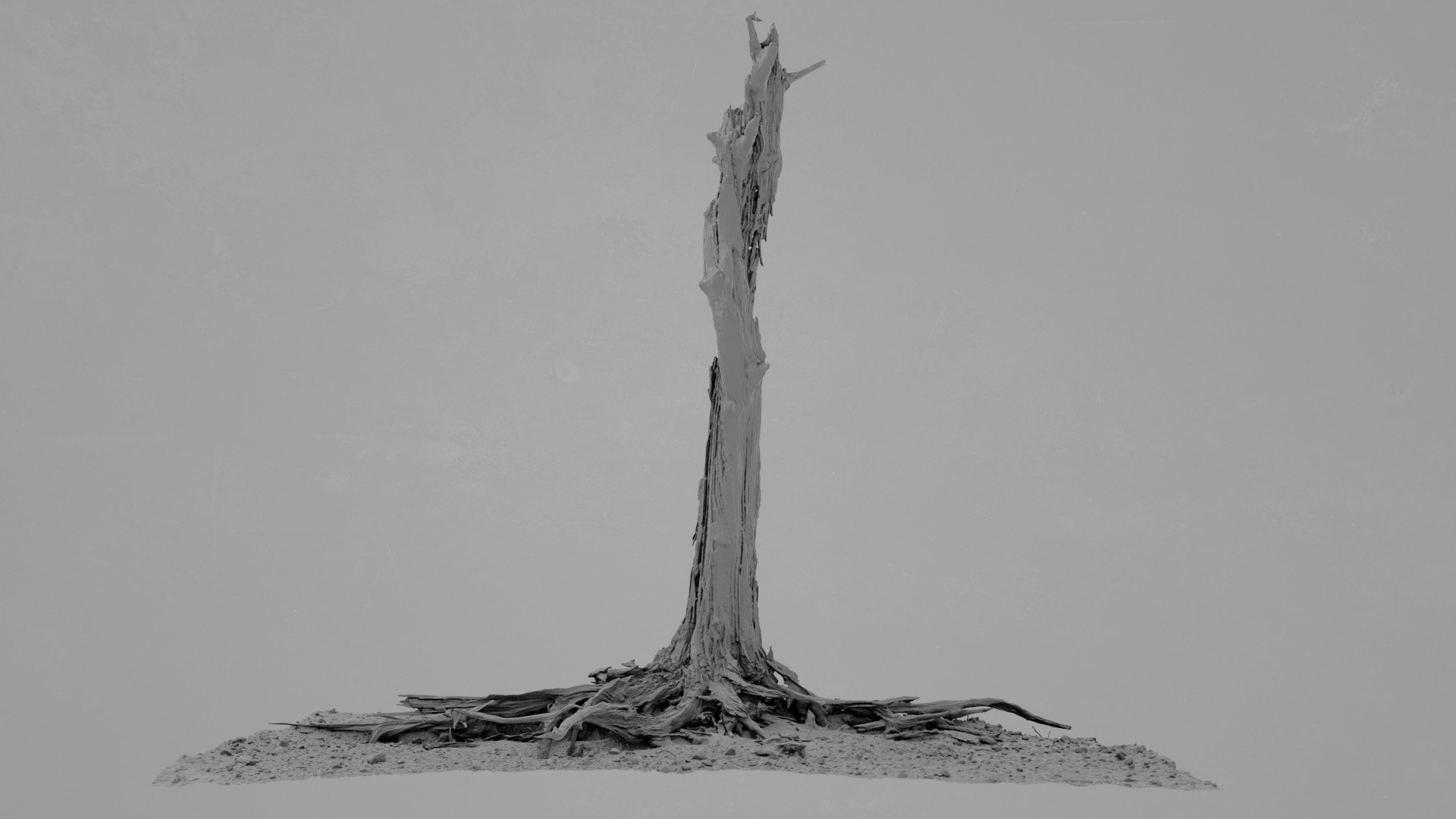 3D Dead Tree 008 Model - TurboSquid 2324915