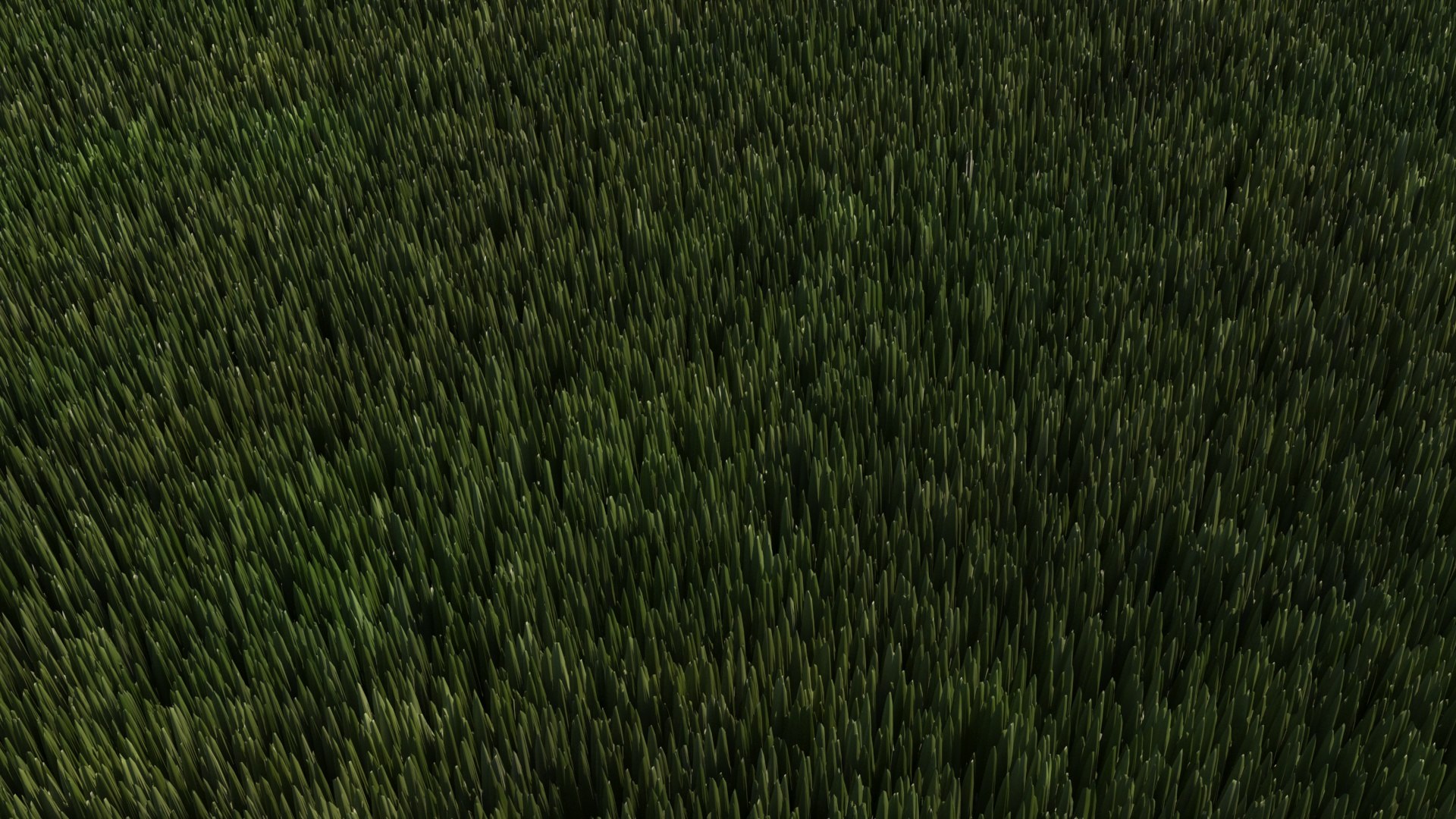 3D Grass - TurboSquid 1911618