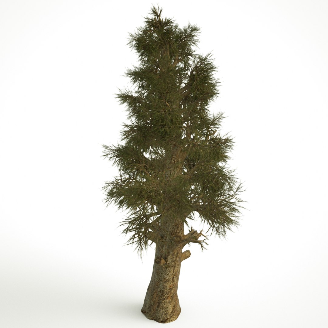 3D big old tree - TurboSquid 1379437