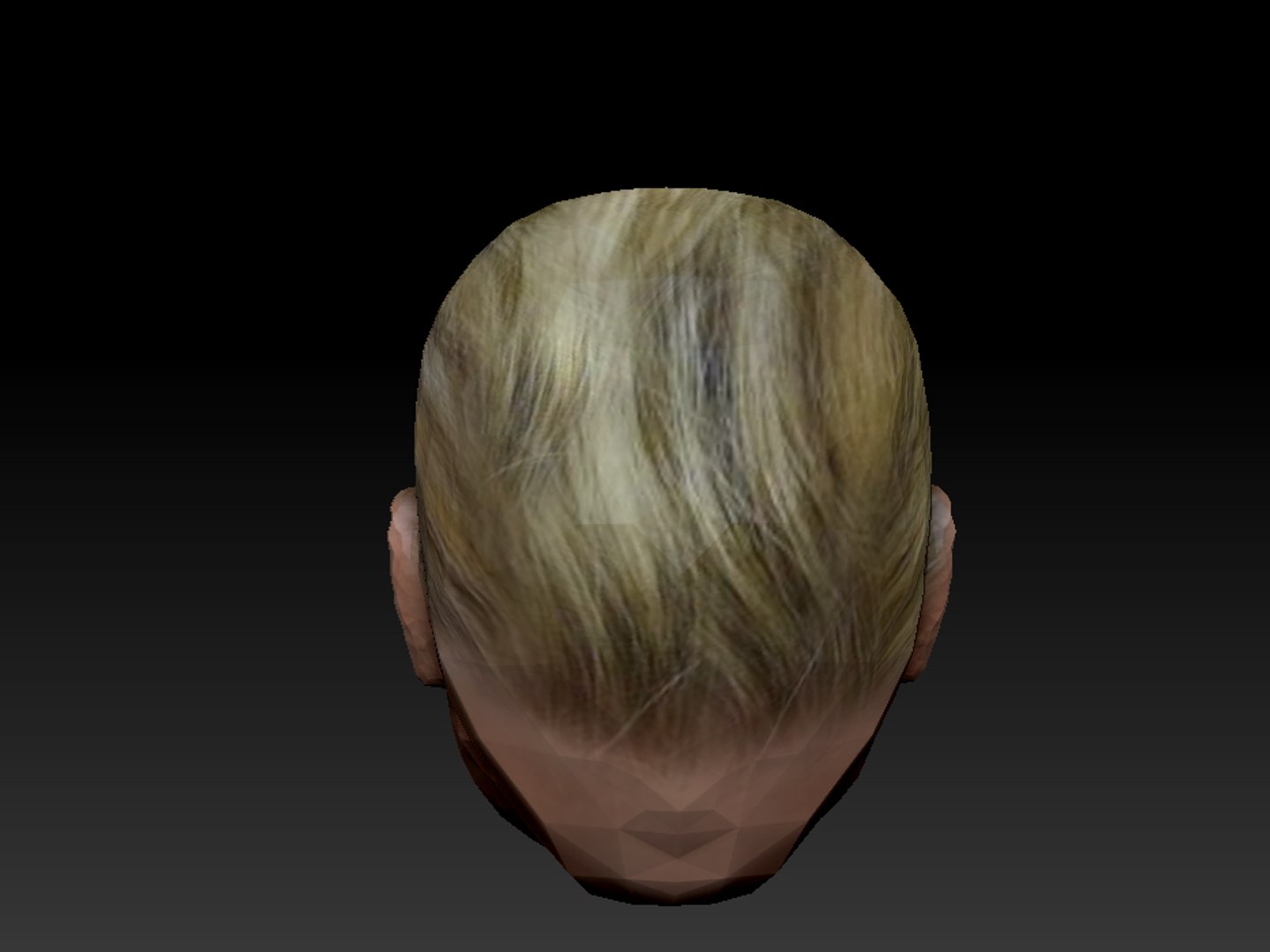 Head hillary model - TurboSquid 1255711