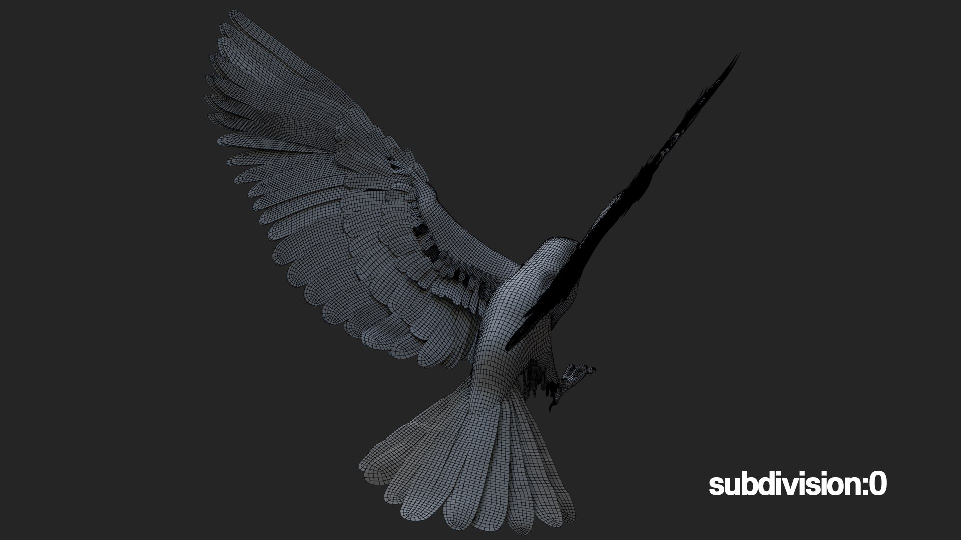 Realistic hawk rigged 3D model - TurboSquid 1513393