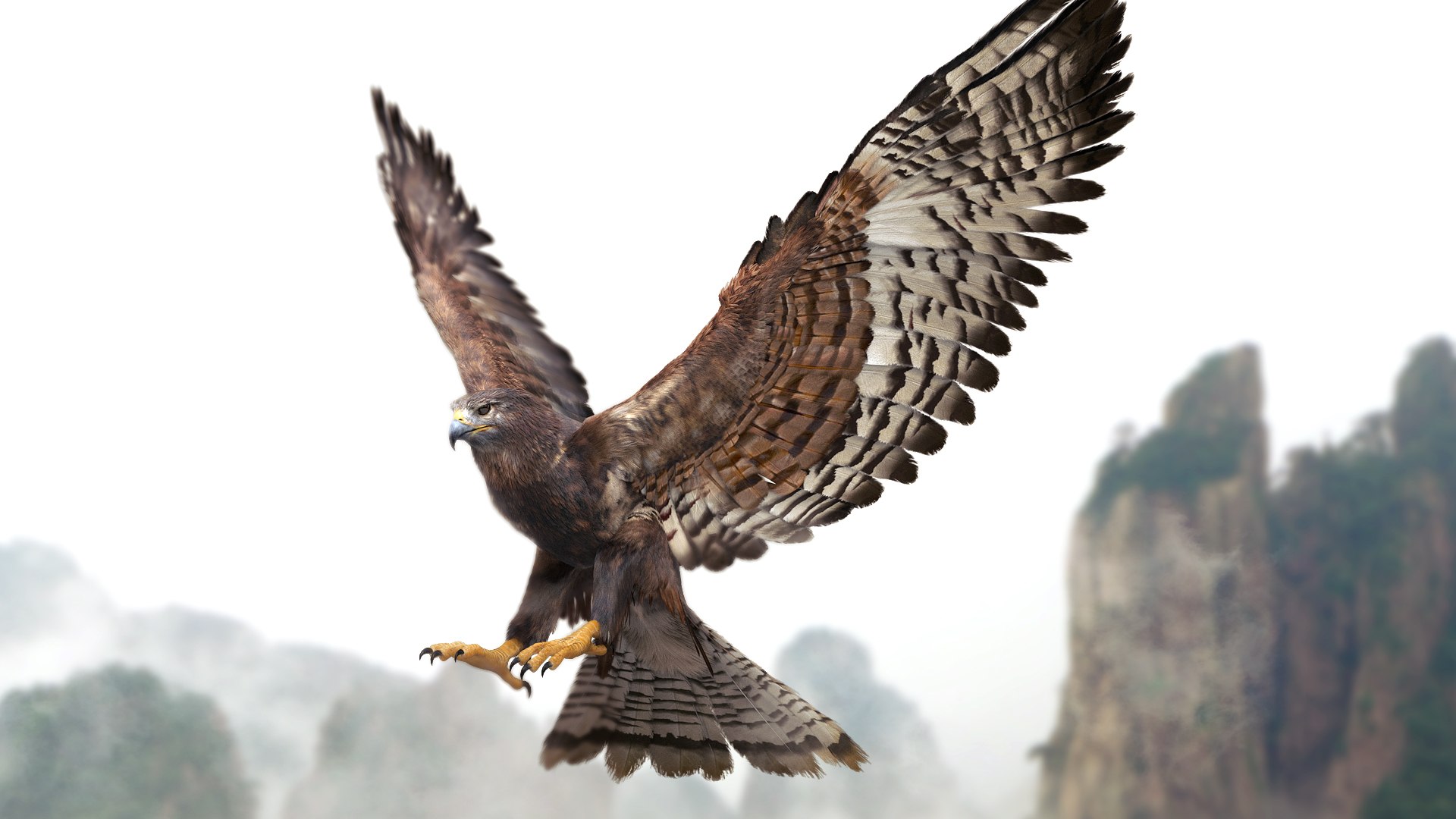 Realistic hawk rigged 3D model - TurboSquid 1513393