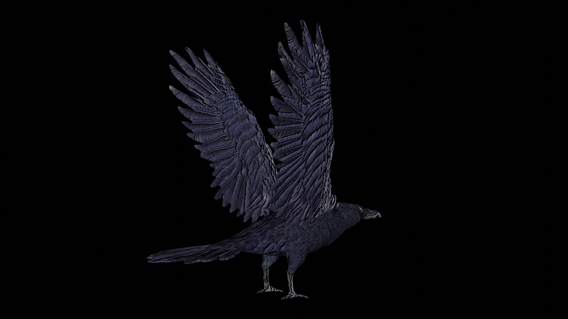 Raven 3D model - TurboSquid 1746042