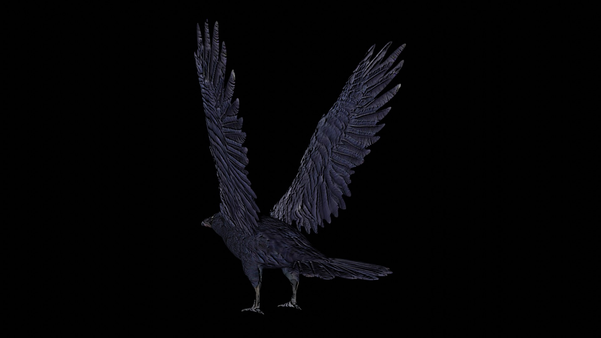 Raven 3D model - TurboSquid 1746042