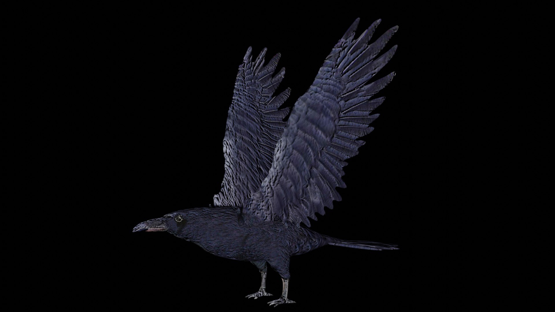 Raven 3D Model - TurboSquid 1746042