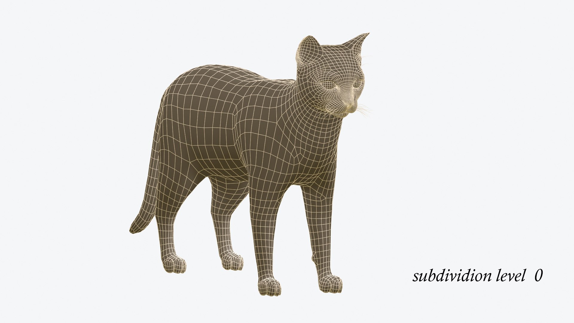 3D Model Cat Collection 2 - TurboSquid 1871525