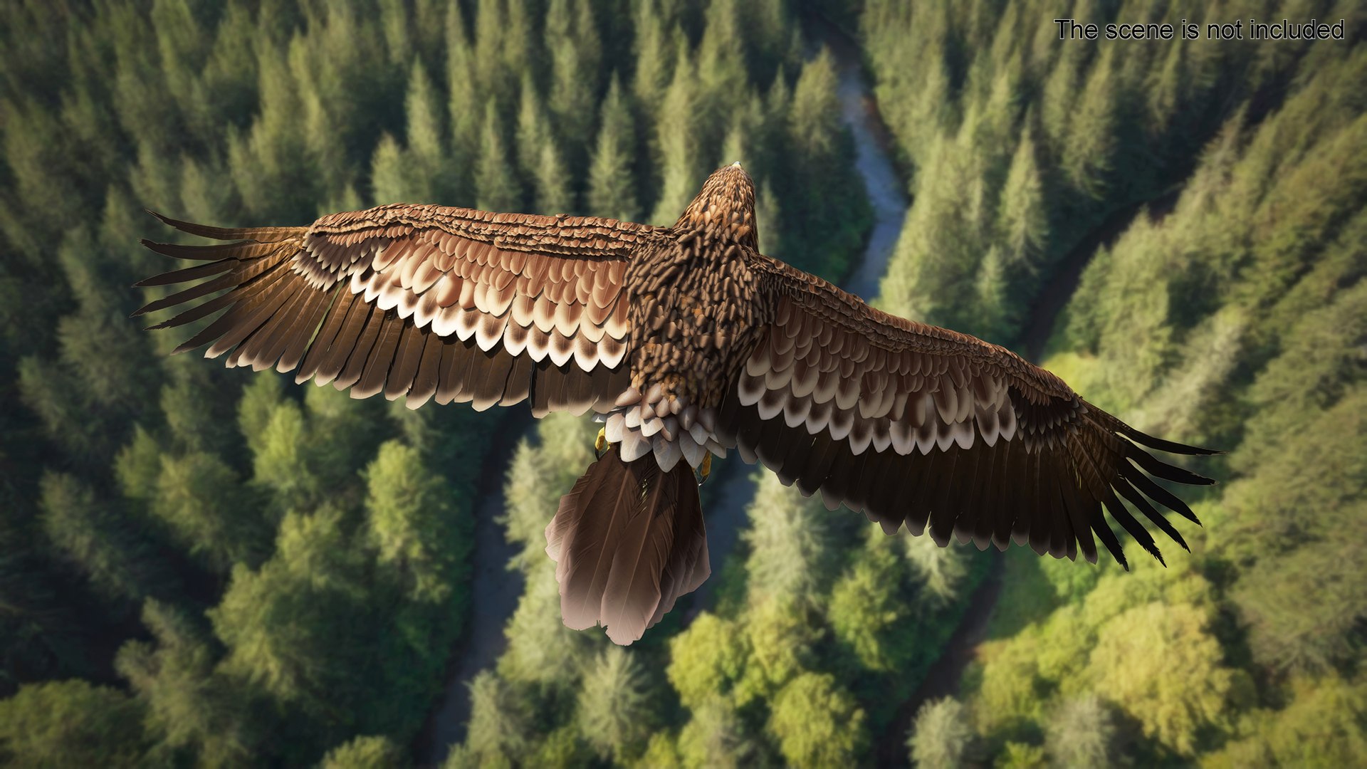 3D Realistic Imperial Eagle Flying Model - TurboSquid 2250023