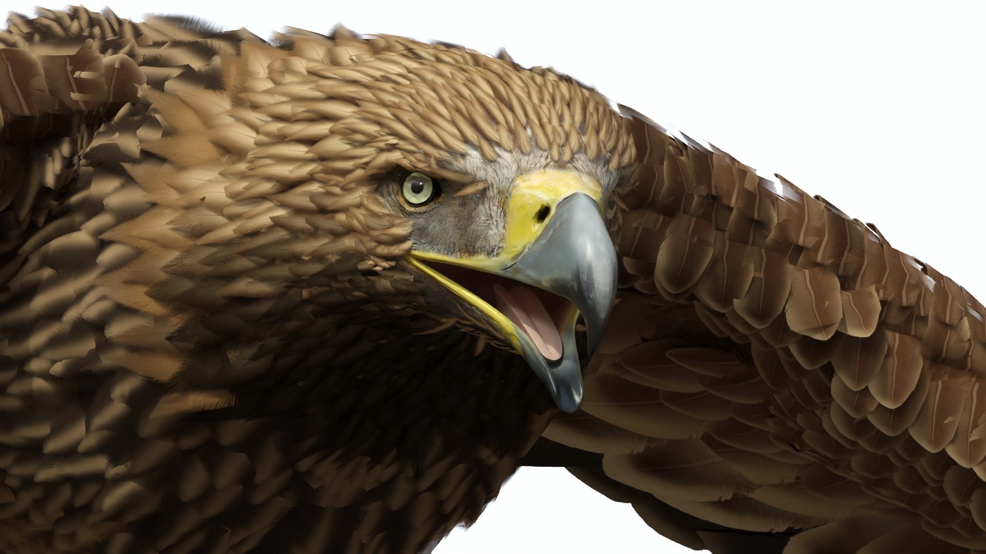 3D Realistic Imperial Eagle Flying Model - TurboSquid 2250023