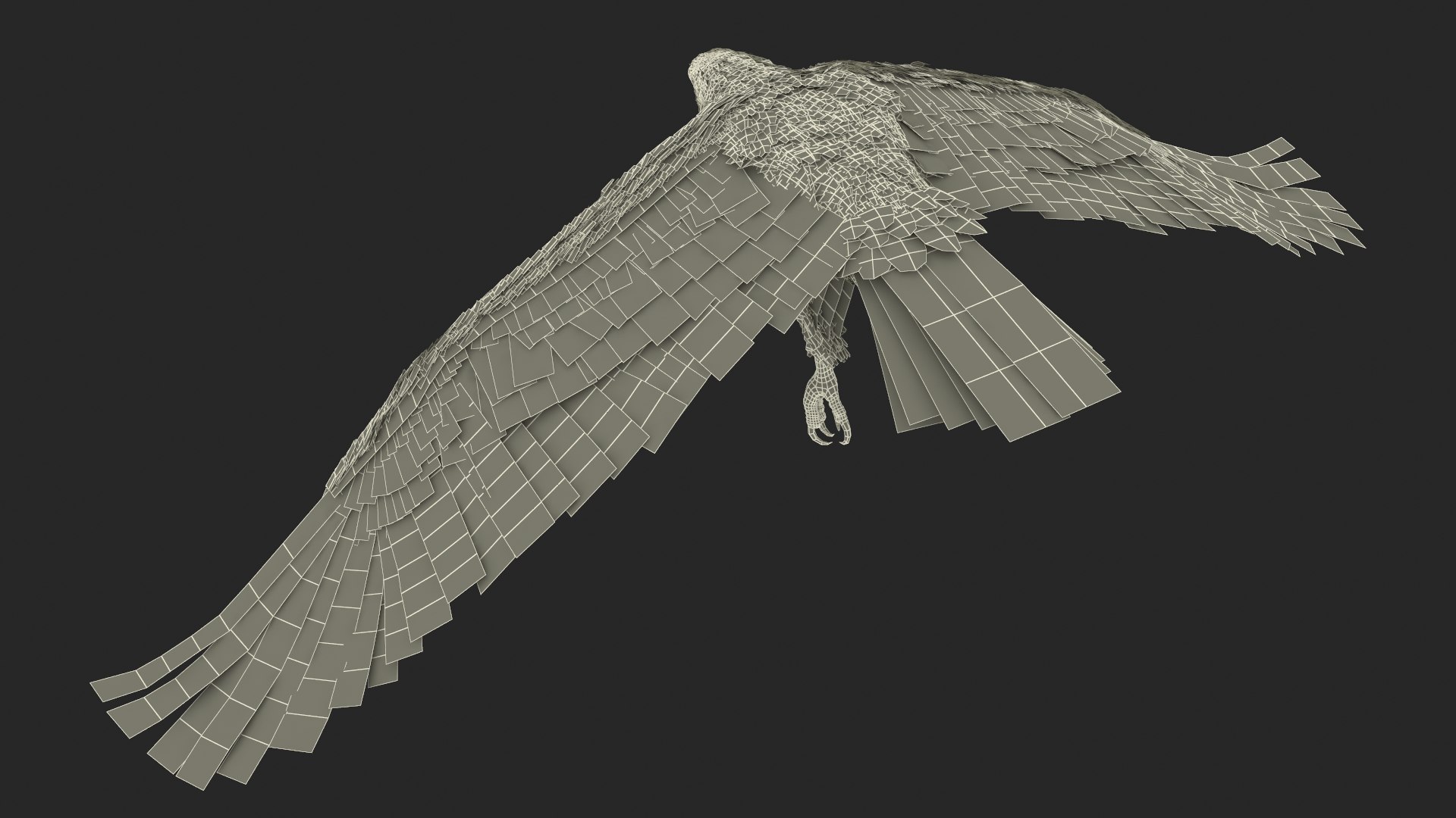 3D Realistic Imperial Eagle Flying Model - TurboSquid 2250023
