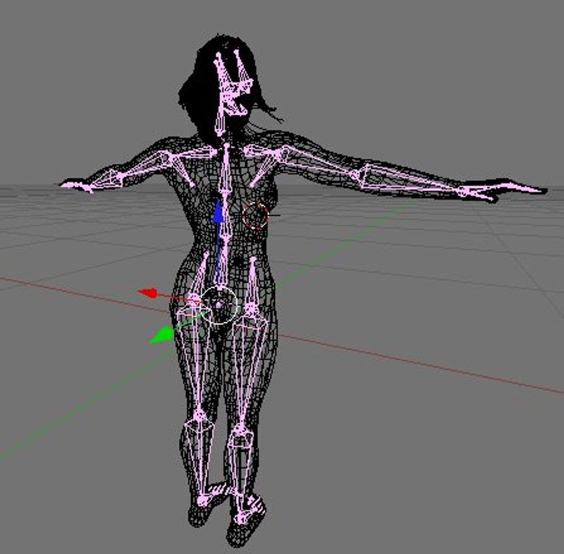 Human Female 3d Model