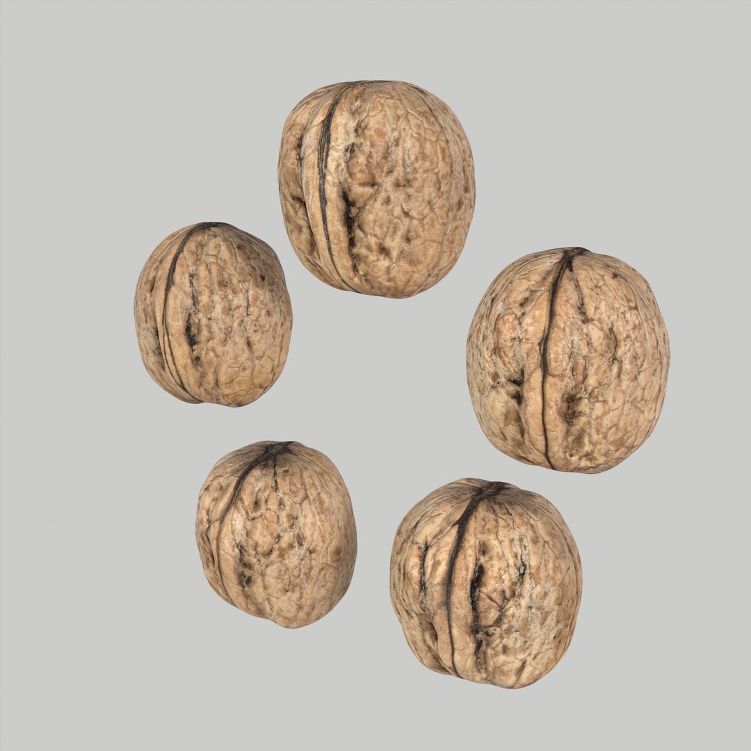 Walnuts Model - TurboSquid 2167923