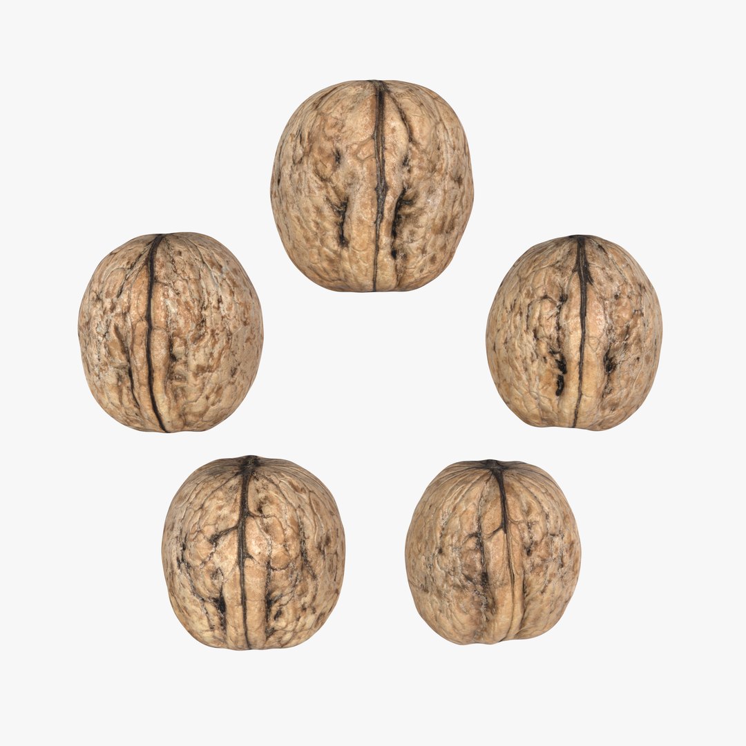 Walnuts Model - TurboSquid 2167923