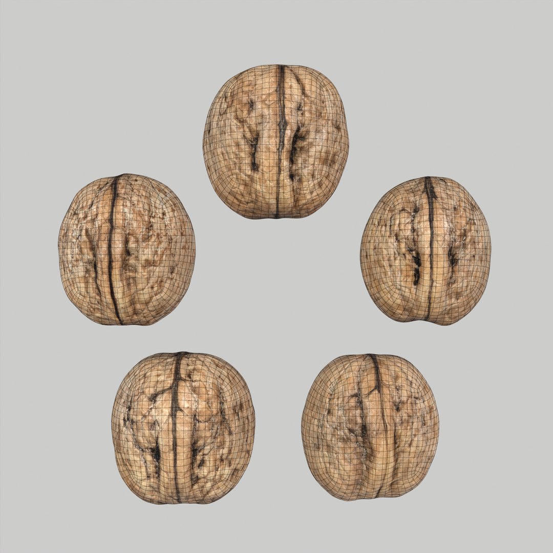 Walnuts Model - TurboSquid 2167923