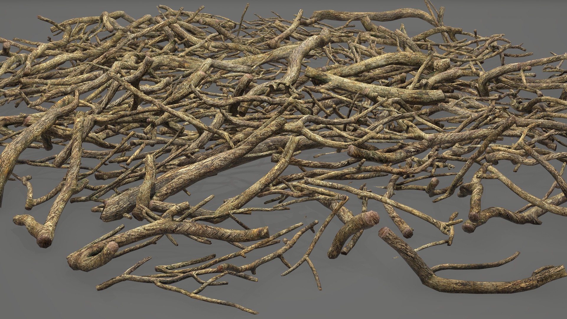 Twig V5 PBR 3D Model - TurboSquid 2358612