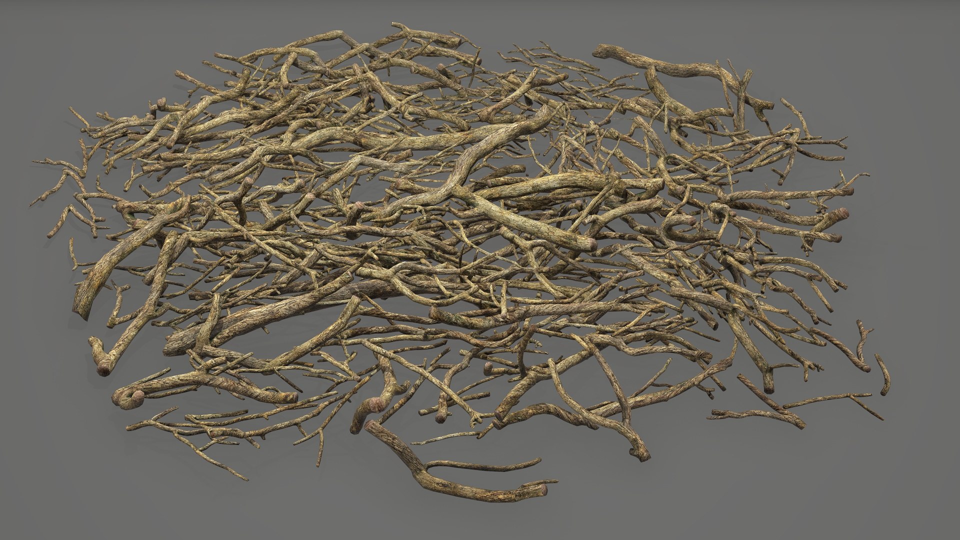 Twig V5 PBR 3D Model - TurboSquid 2358612