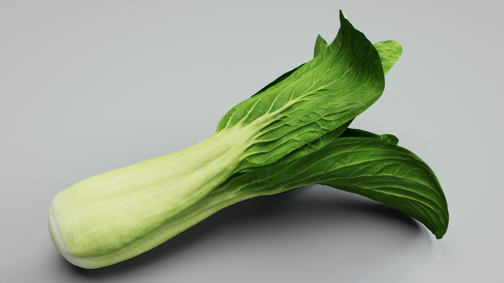 Bok Choy 3D Model - TurboSquid 2169690