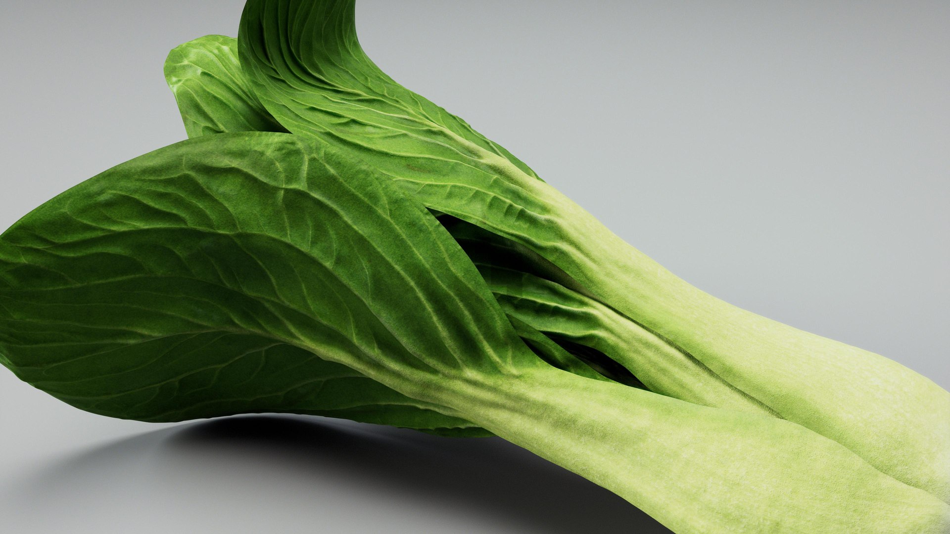 Bok Choy 3D Model - TurboSquid 2169690