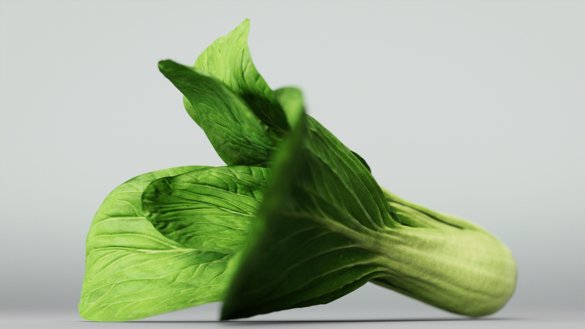 Bok Choy 3D Model - TurboSquid 2169690