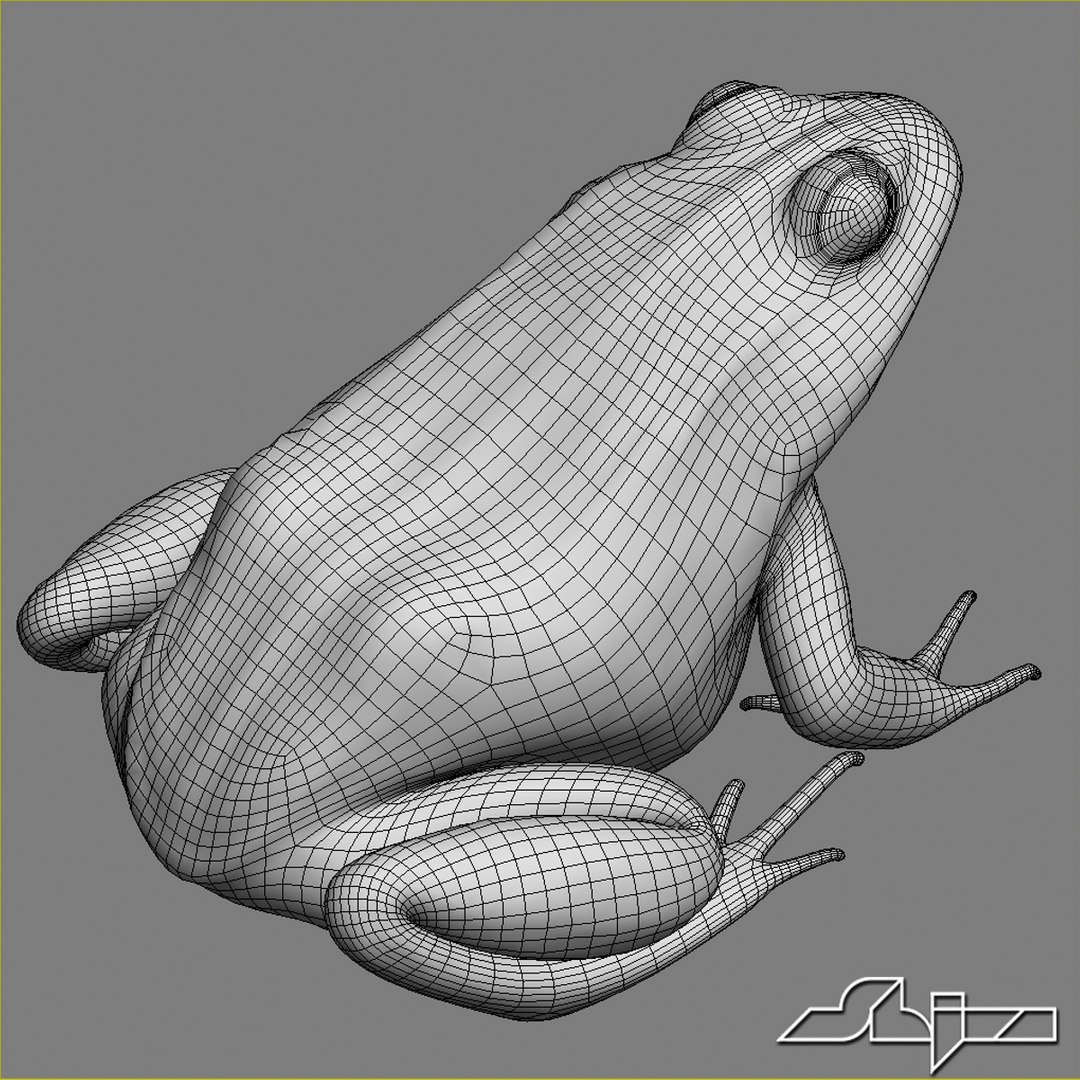 Frog 2 3d Model