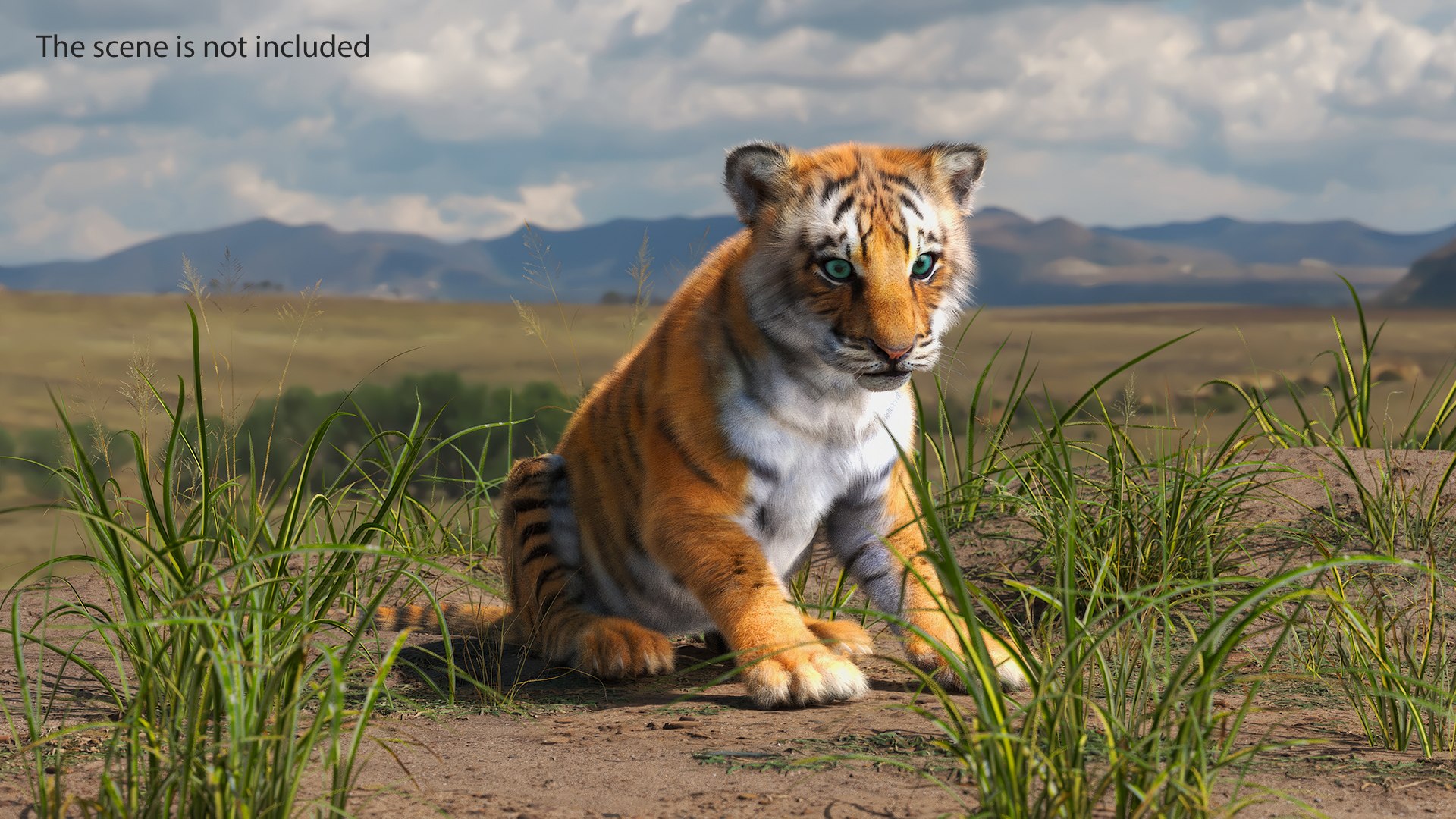 Tiger Cub Sitting Fur 3D Model - TurboSquid 2341186