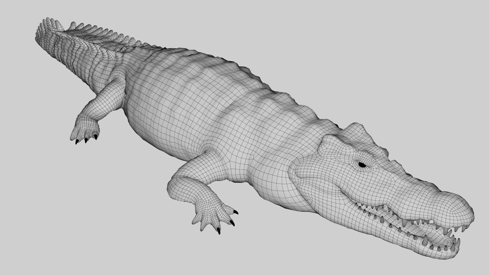 Crocodile 3D Model - TurboSquid 2298520