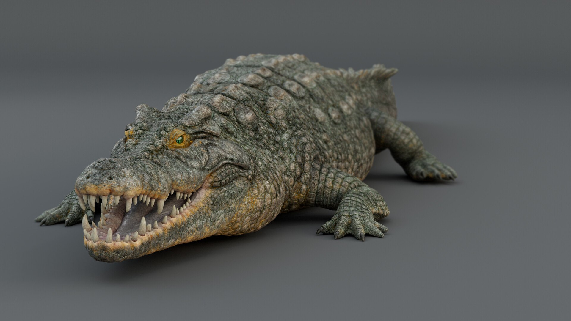 Crocodile 3D Model - TurboSquid 2298520