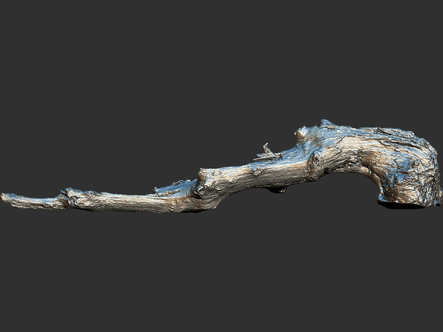 Scanned Hd Model - TurboSquid 1212393