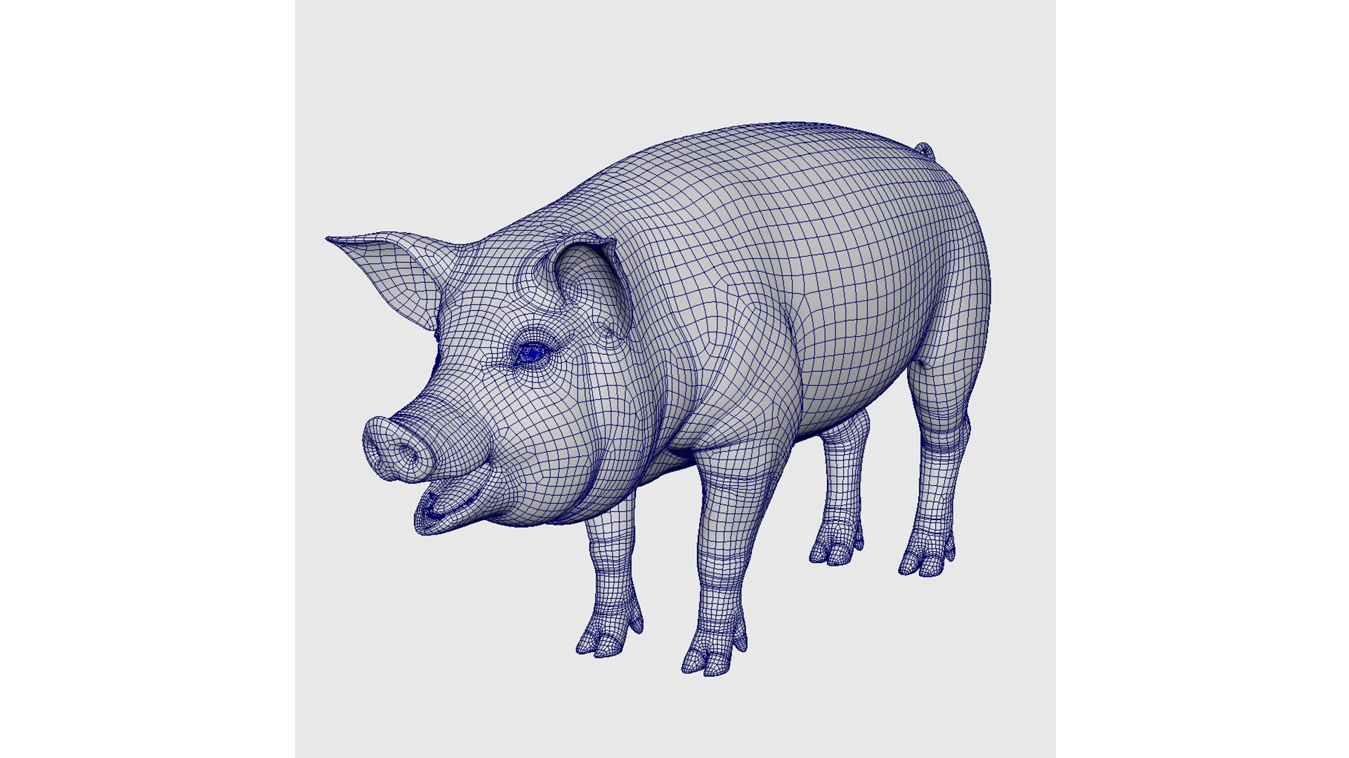 Pig Rigged 3D Model - TurboSquid 1616259