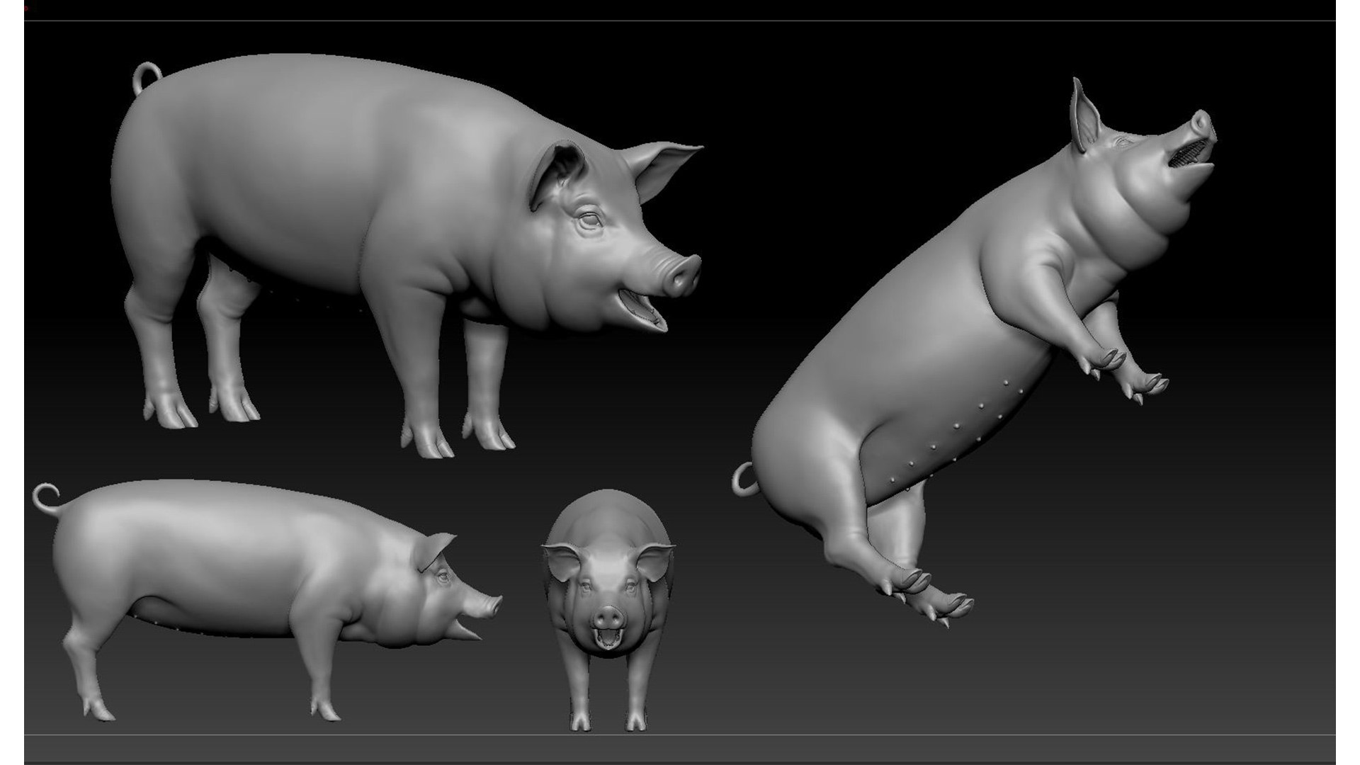 Pig Rigged 3D Model - TurboSquid 1616259