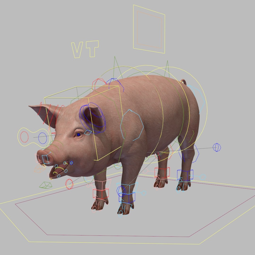 Pig Rigged 3D Model - TurboSquid 1616259