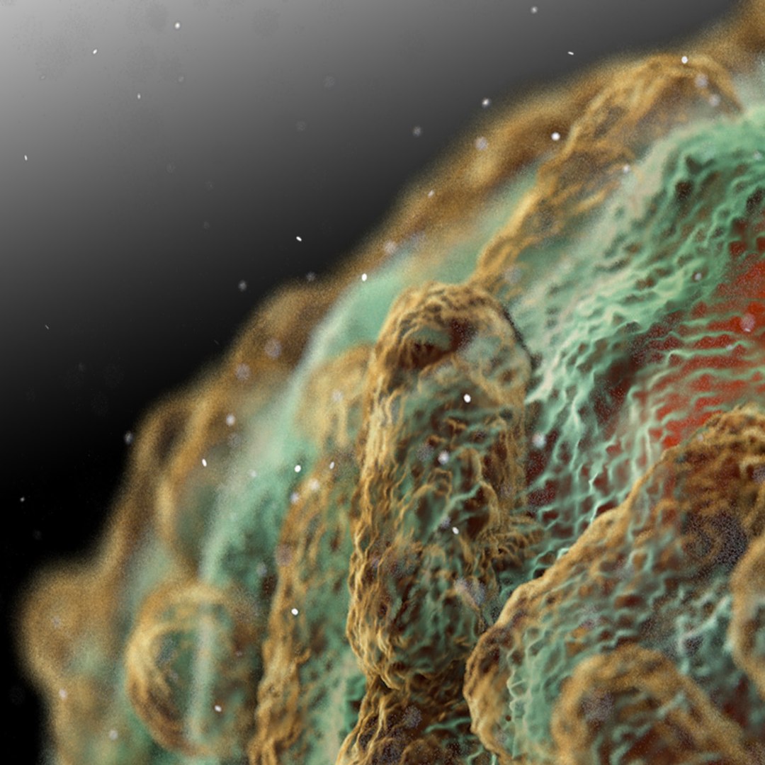 3D Poxviridae Smallpox - TurboSquid 1657598