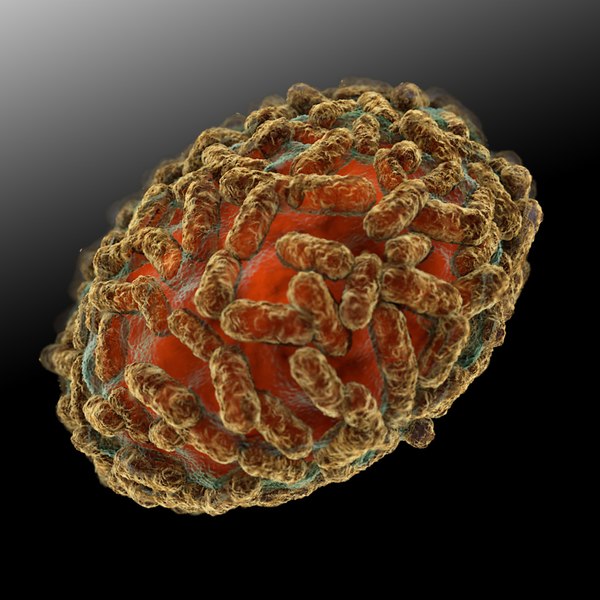 Virus rabies 3D model - TurboSquid 1326203