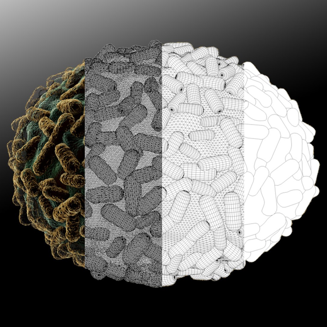 3D Poxviridae Smallpox - TurboSquid 1657598