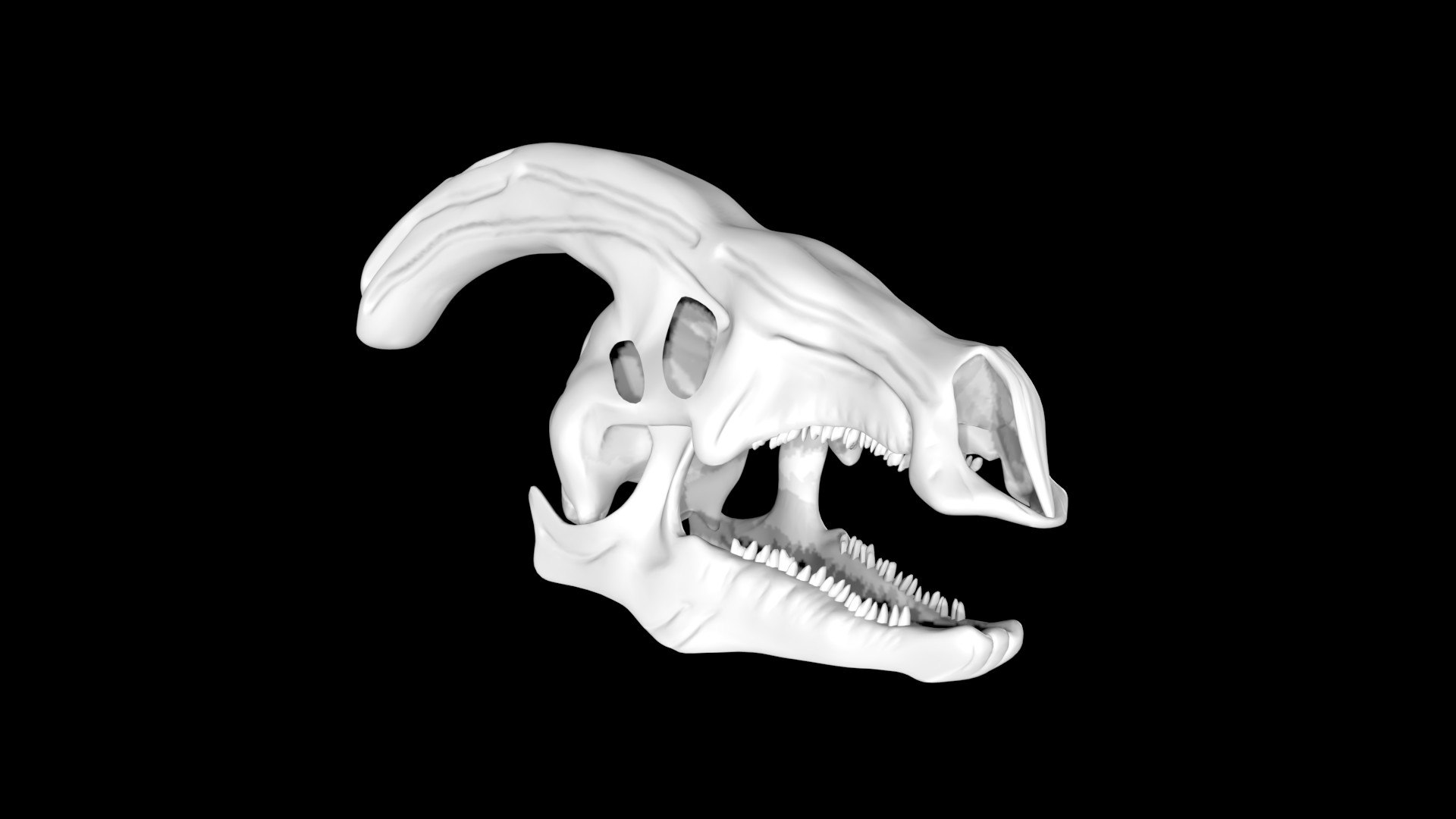 Parasaurolophus Skull 3D Model - TurboSquid 1878667