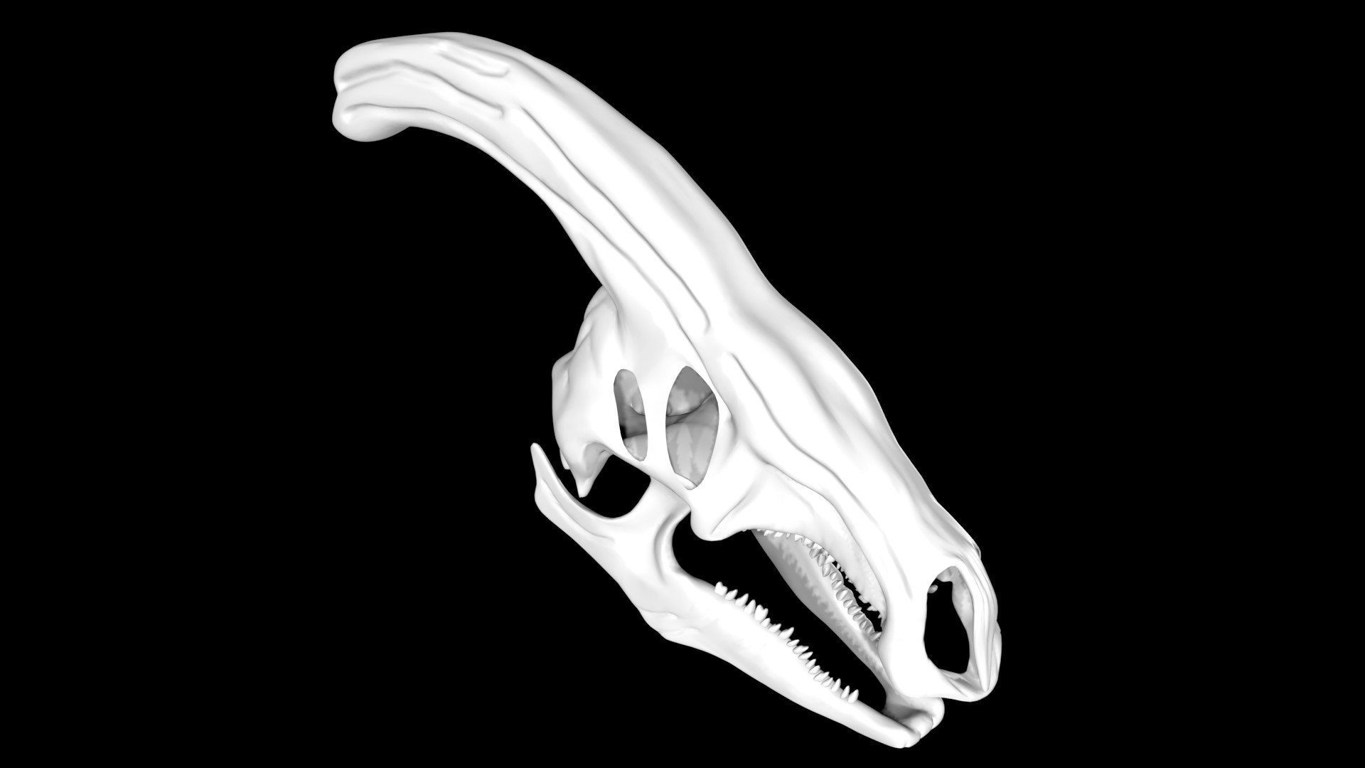 Parasaurolophus Skull 3D Model - TurboSquid 1878667