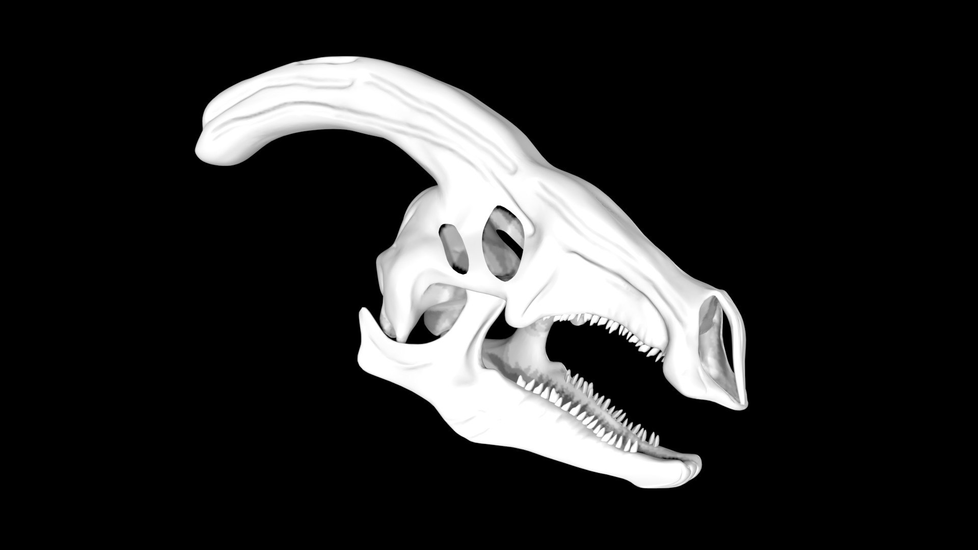 Parasaurolophus Skull 3D Model - TurboSquid 1878667