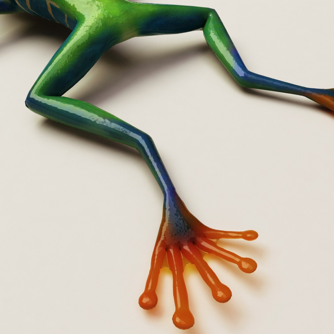 3d Red Eyed Tree Frog