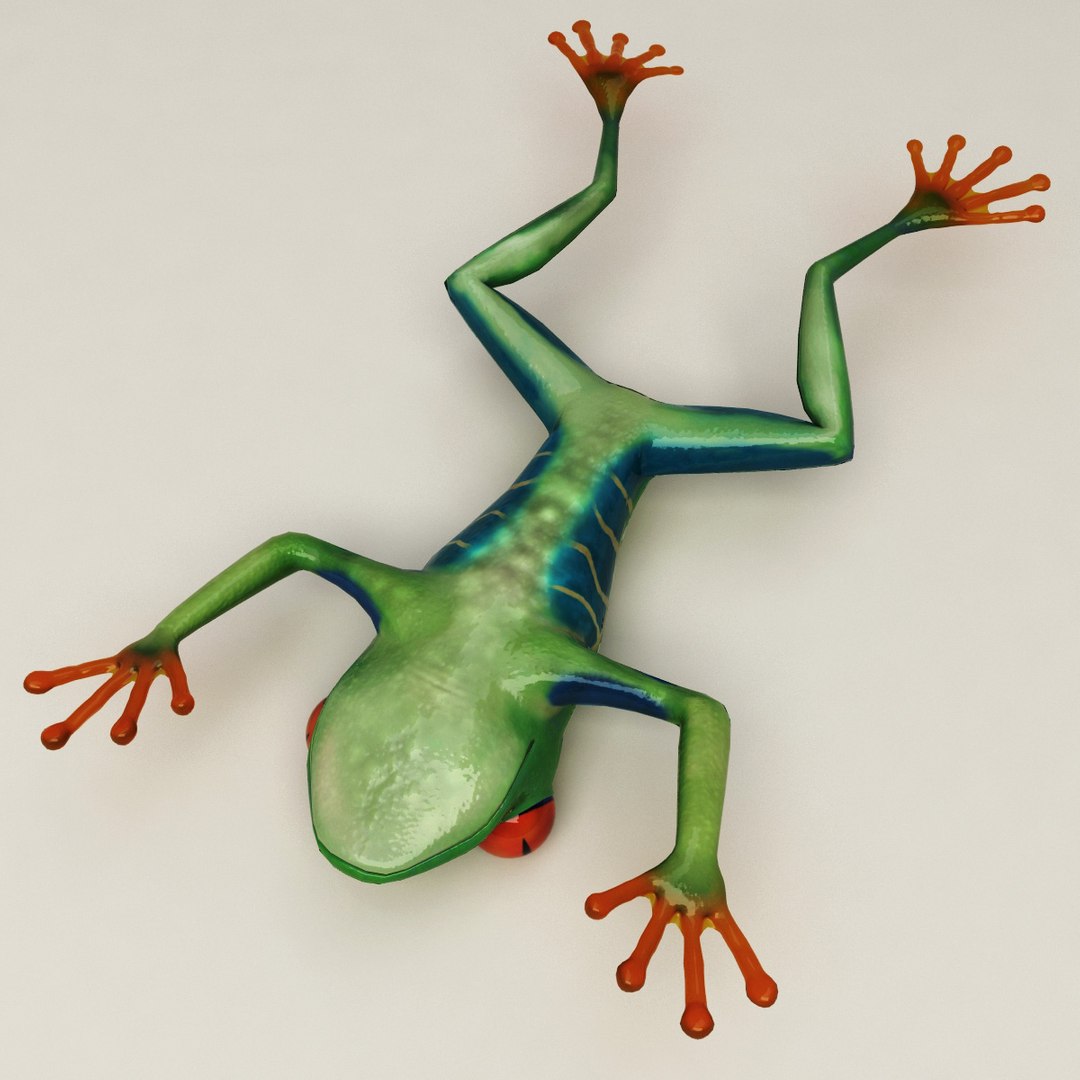 3d Red Eyed Tree Frog