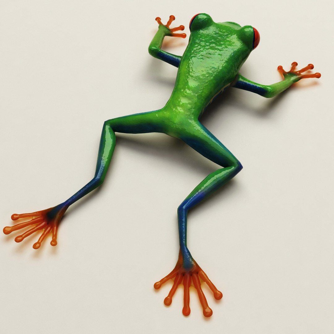 3d Red Eyed Tree Frog