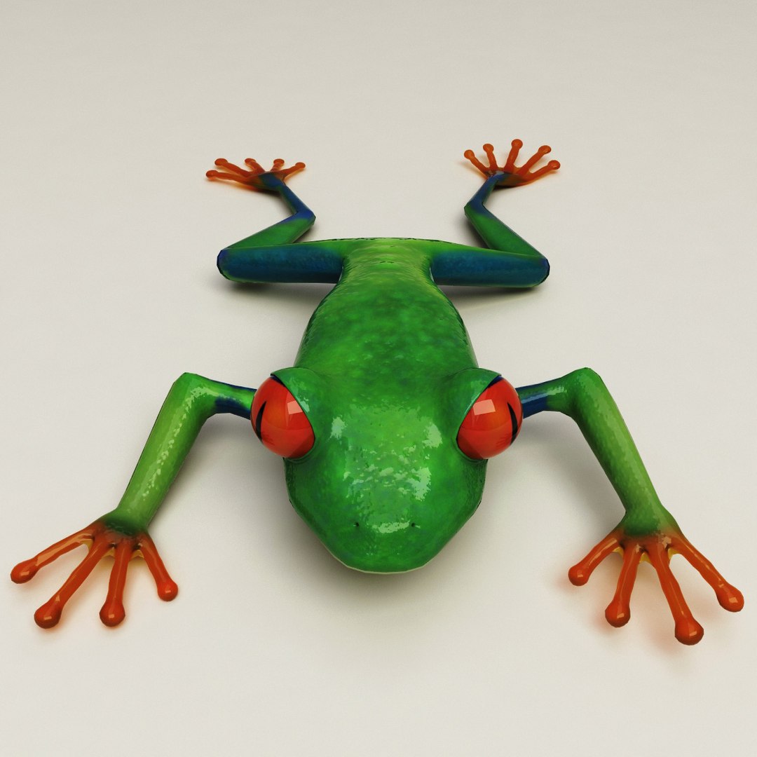 3d Red Eyed Tree Frog