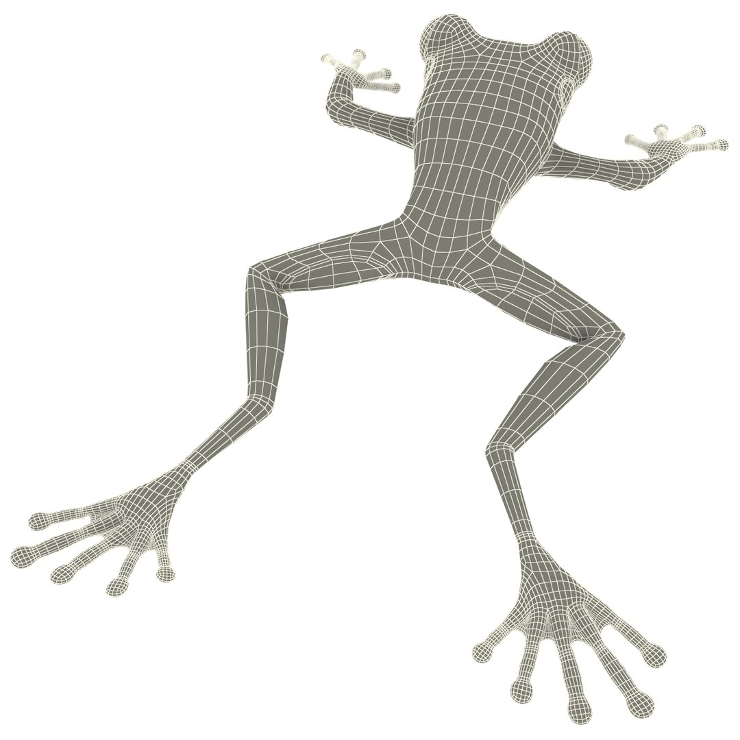 3d Red Eyed Tree Frog