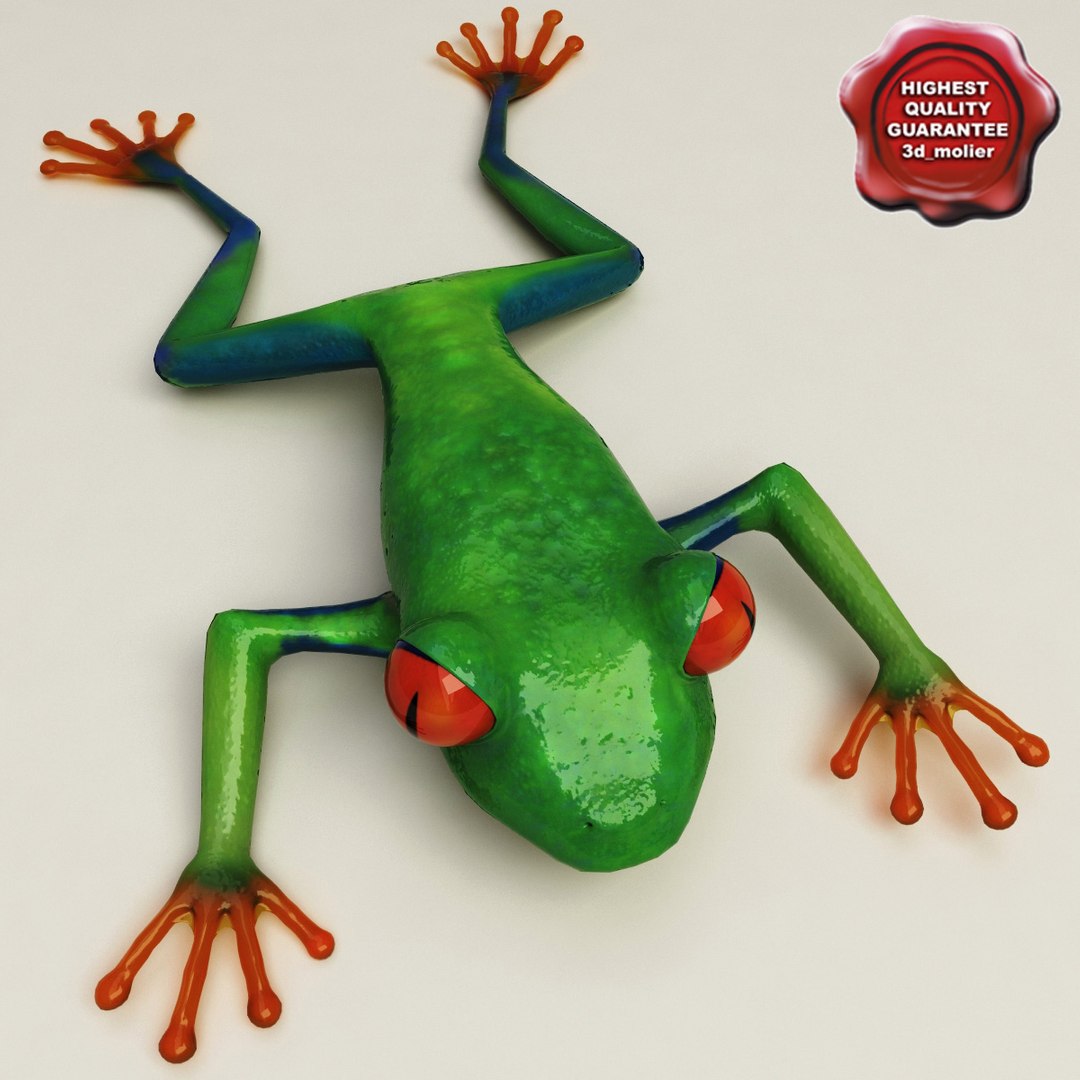 3d Red Eyed Tree Frog