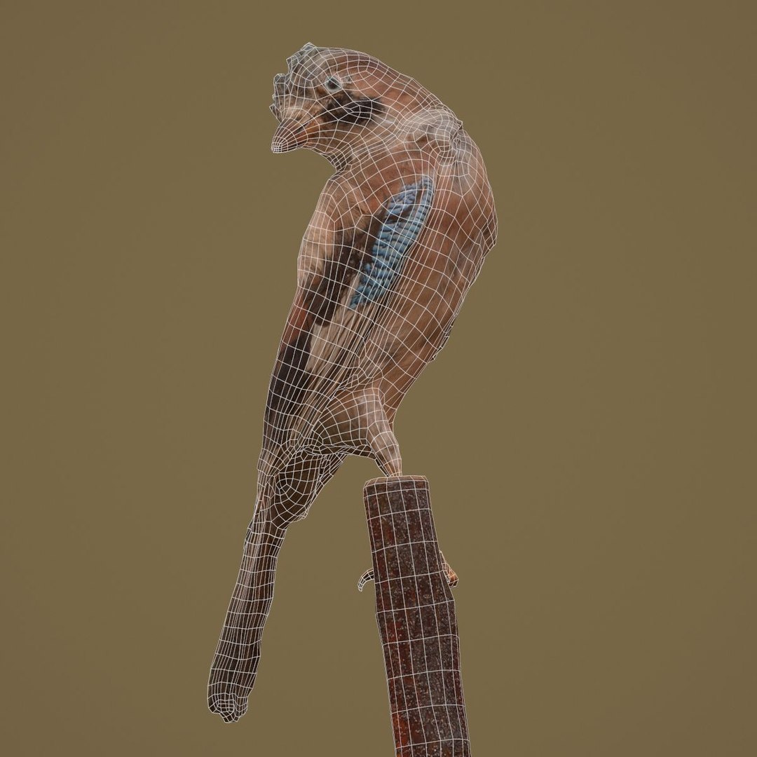3D animal digital photogrammetry model - TurboSquid 1162983