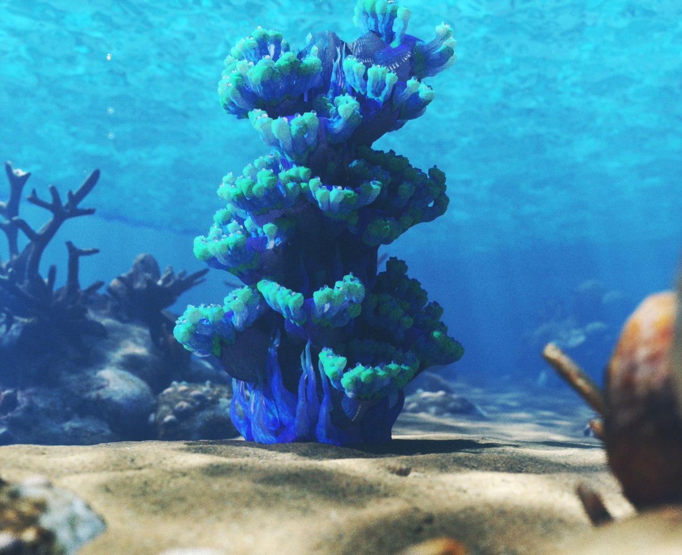 Coral Reef Marine Life 3D Model - TurboSquid 2339957