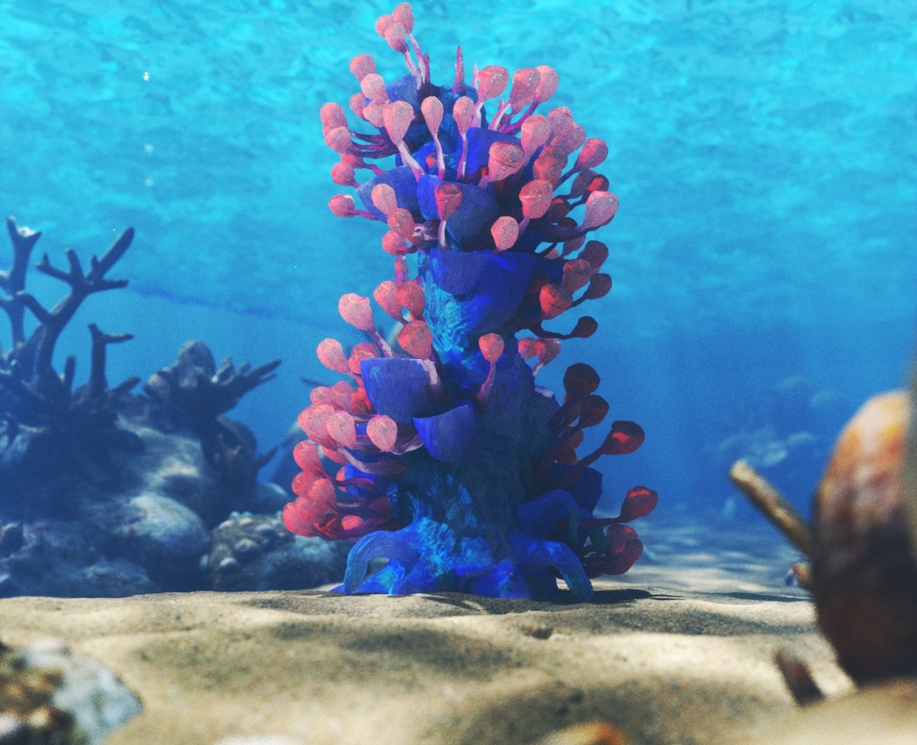 Coral Reef Marine Life 3D Model - TurboSquid 2339957
