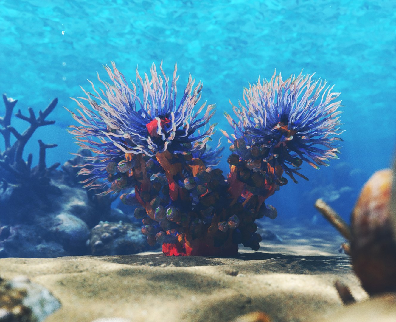 Coral Reef Marine Life 3D Model - TurboSquid 2339957