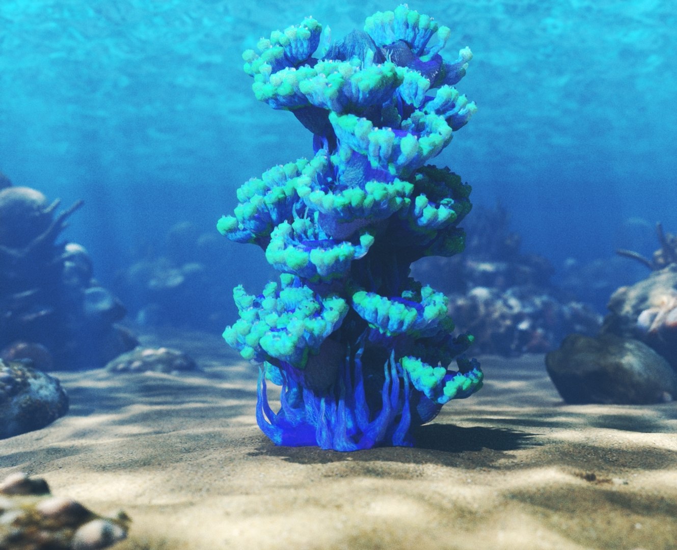 Coral Reef Marine Life 3D Model - TurboSquid 2339957