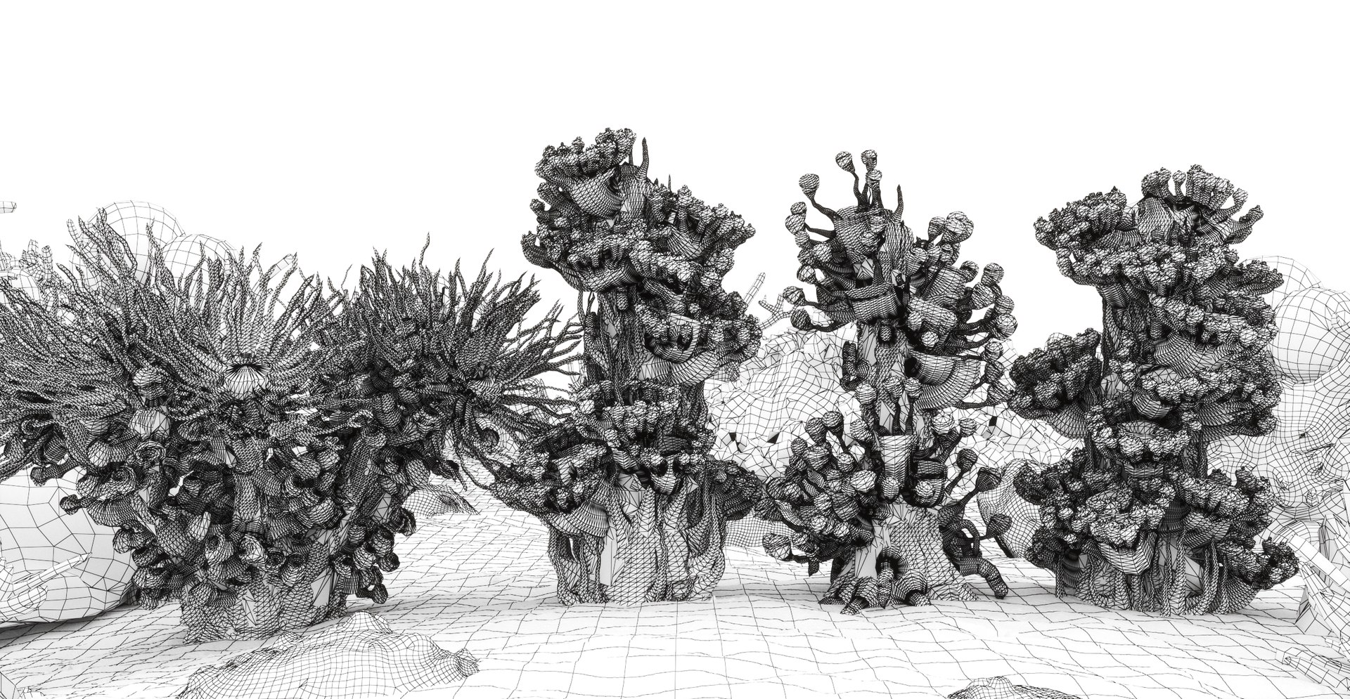 Coral Reef Marine Life 3D Model - TurboSquid 2339957