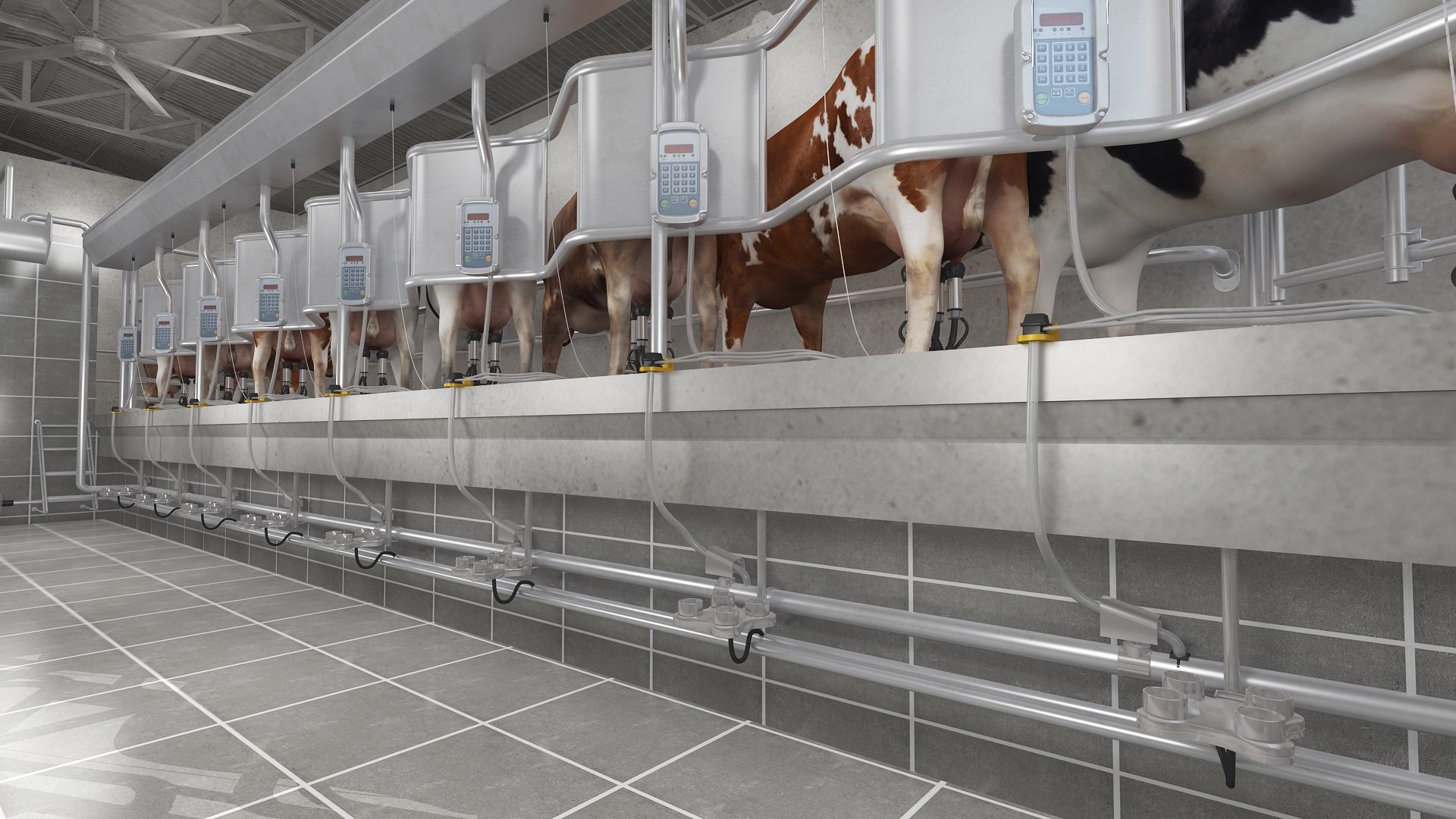 3D Milking Parlor 2 - TurboSquid 2111252