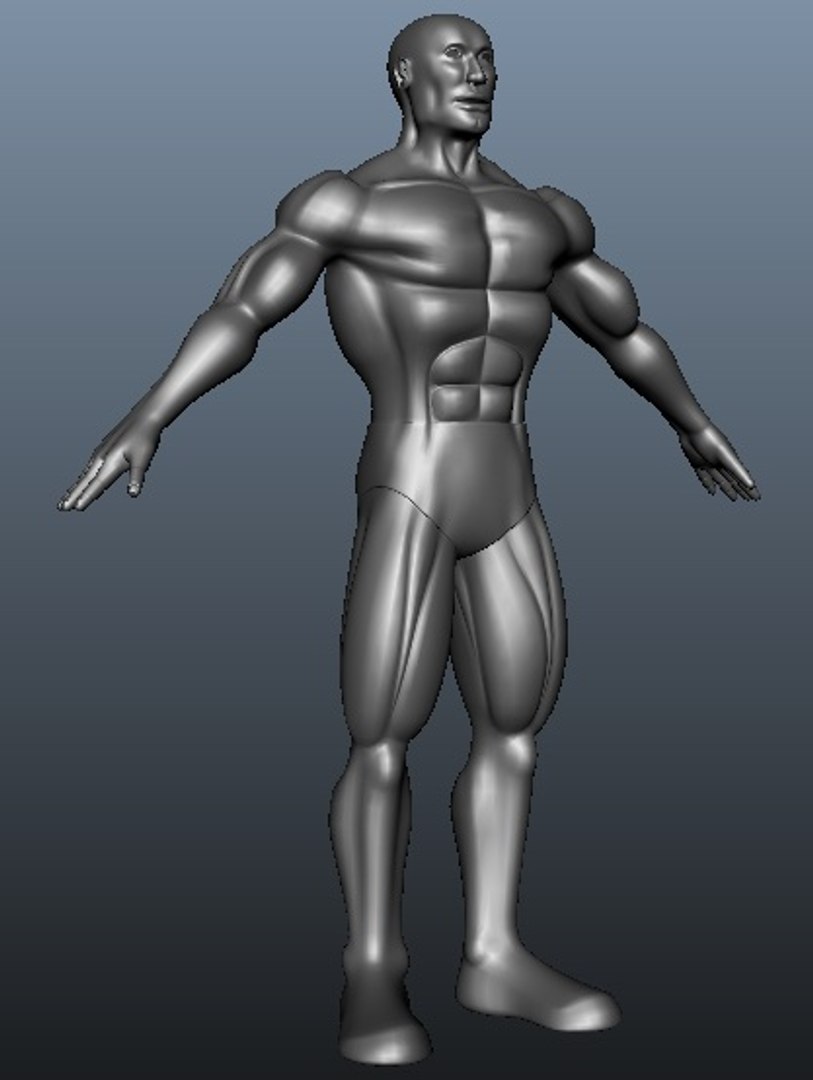 3d Model Of Muscular Man Body Male